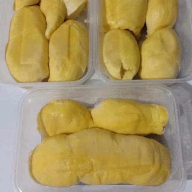 Jual montong monthong palu bali duren durian | Shopee Indonesia