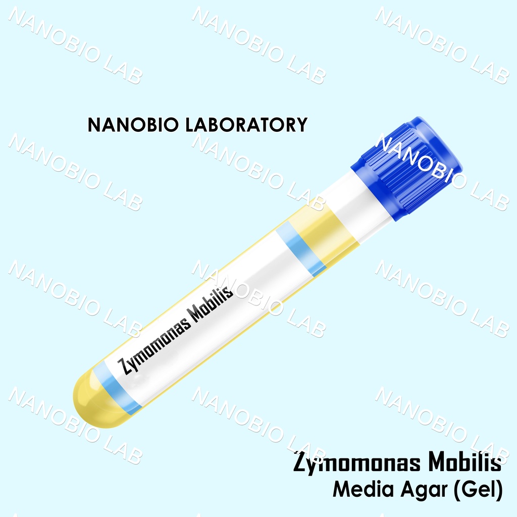 Jual Isolat Culture Zymomonas mobilis Media Gel Agar | Shopee Indonesia