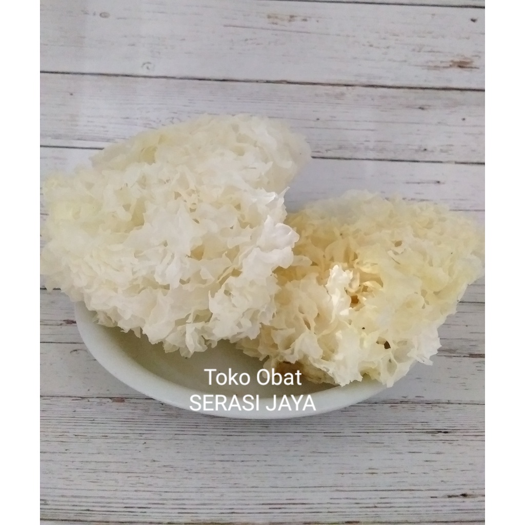 Jual JAMUR PUTIH (BAI MU ER) SNOW WHITE FUNGUS 1 TAEL 37,5G MAKANAN ...