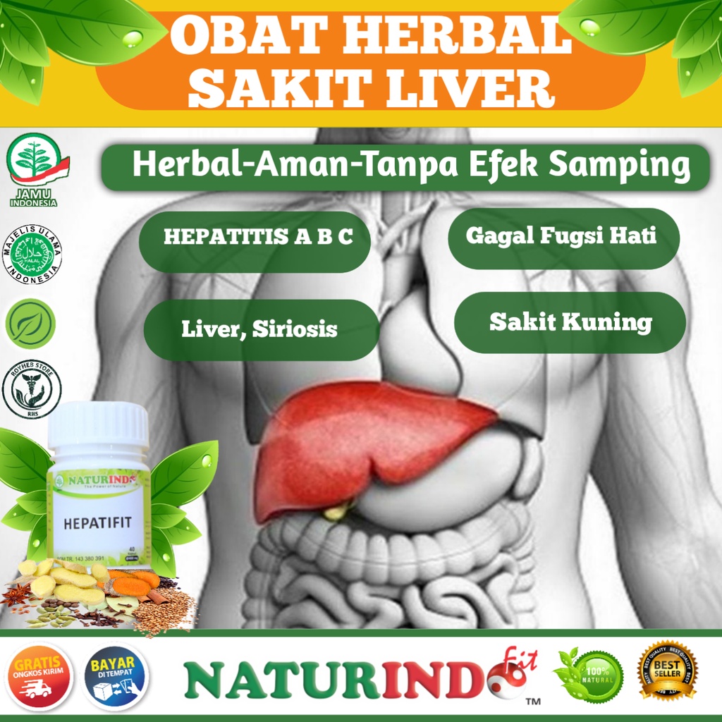 Jual Obat Herbal Fungsi Hati Liver Hepatitis Pankreas Tifus Tipes Obat ...