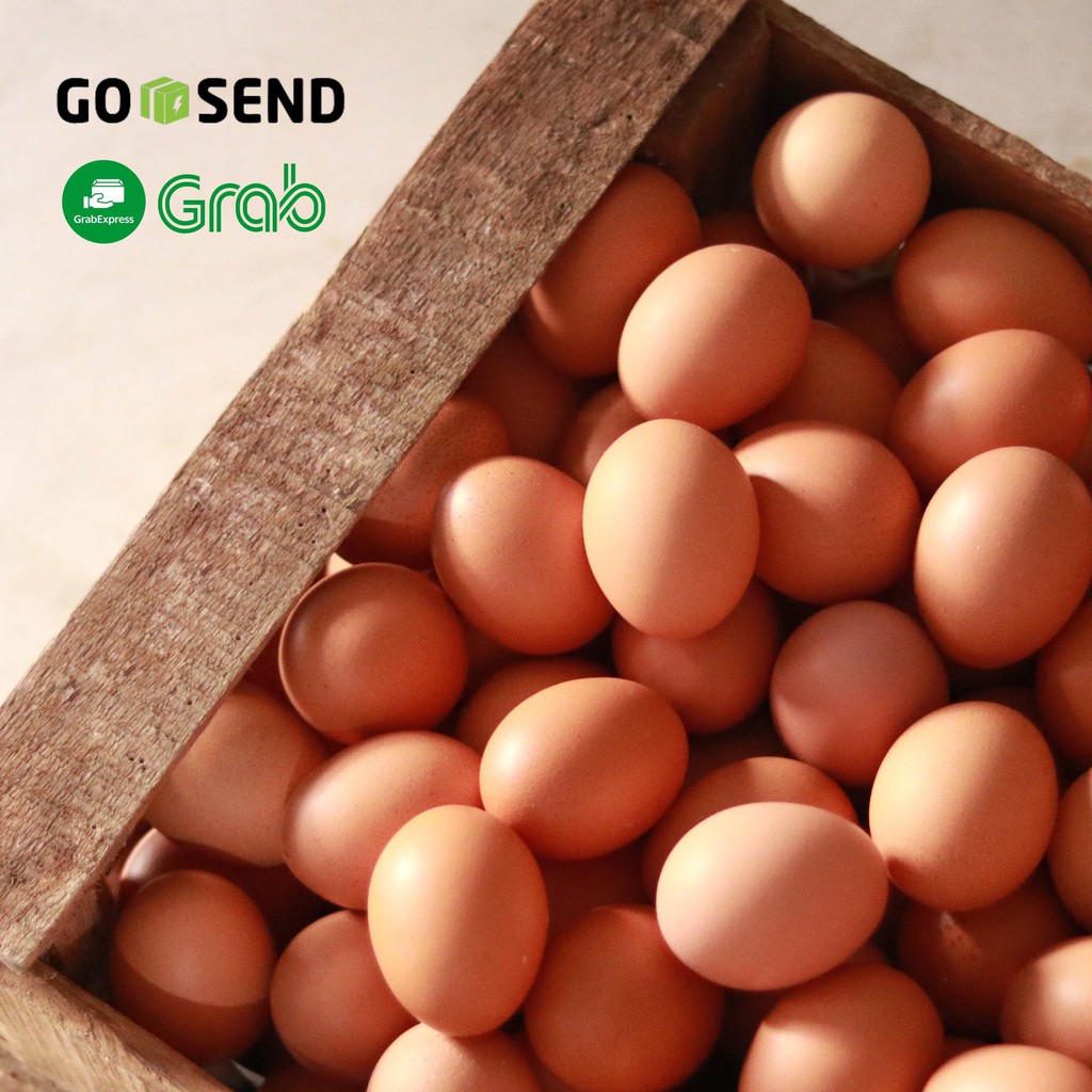 Jual Telur / Telor Ayam Fresh (per kg) | grosir & eceran | Supplier ...