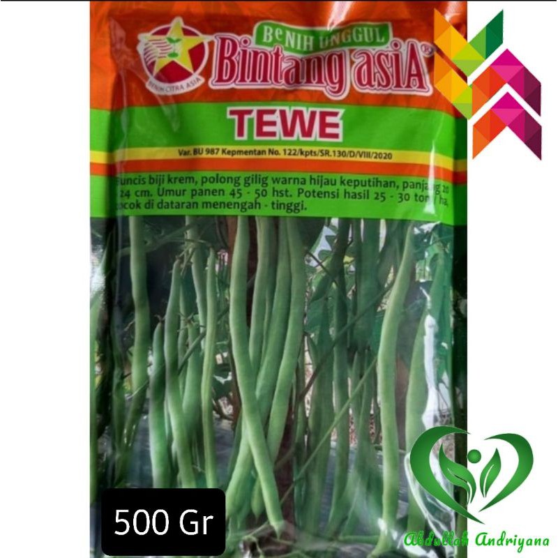 Jual Benih Buncis Biji Krem TEWE isi 500Gr Bibit Buncis Produk BINTANG ...