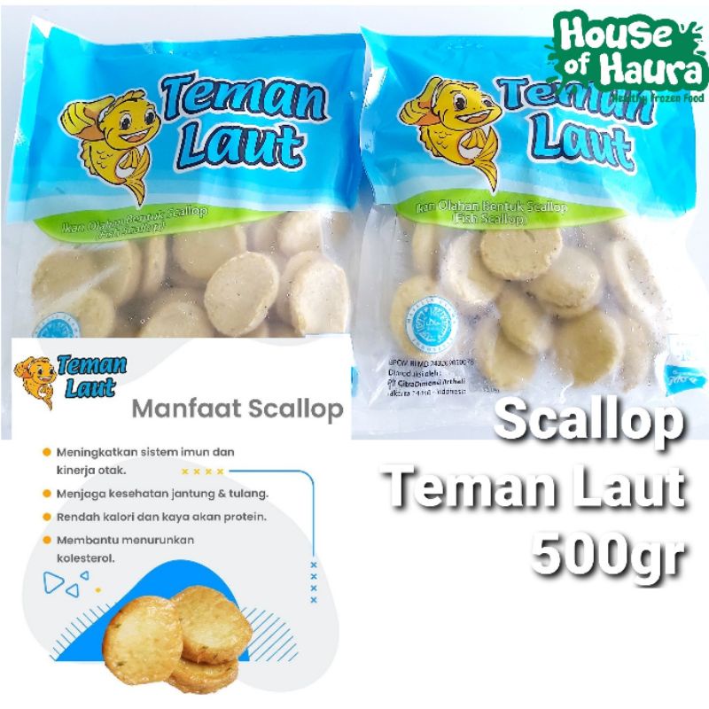 Jual Scallop Ikan Teman Laut | Shopee Indonesia