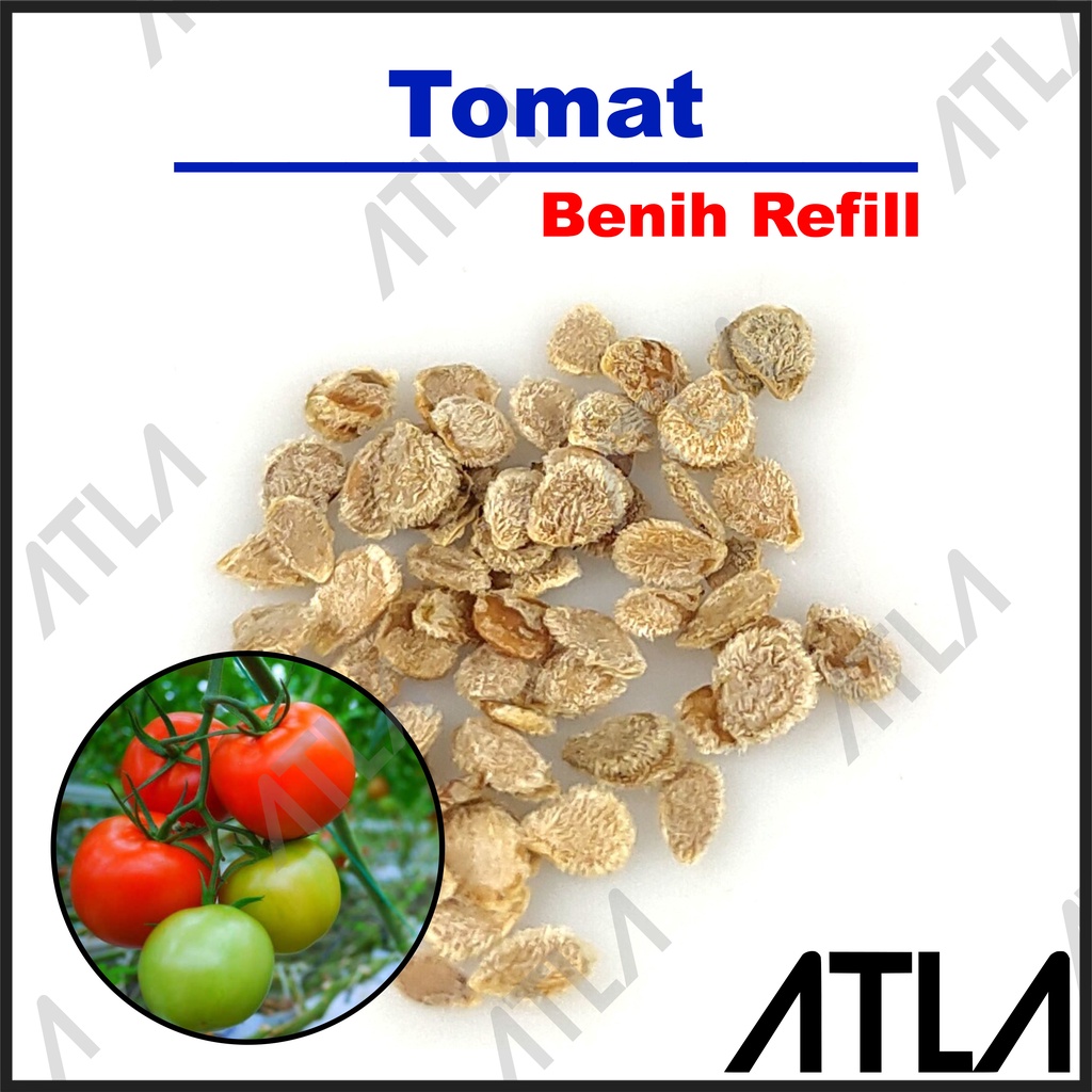 Jual Benih Tomat Merah Biji Tomato Seeds Bibit Tanaman Sayur Sayuran ...