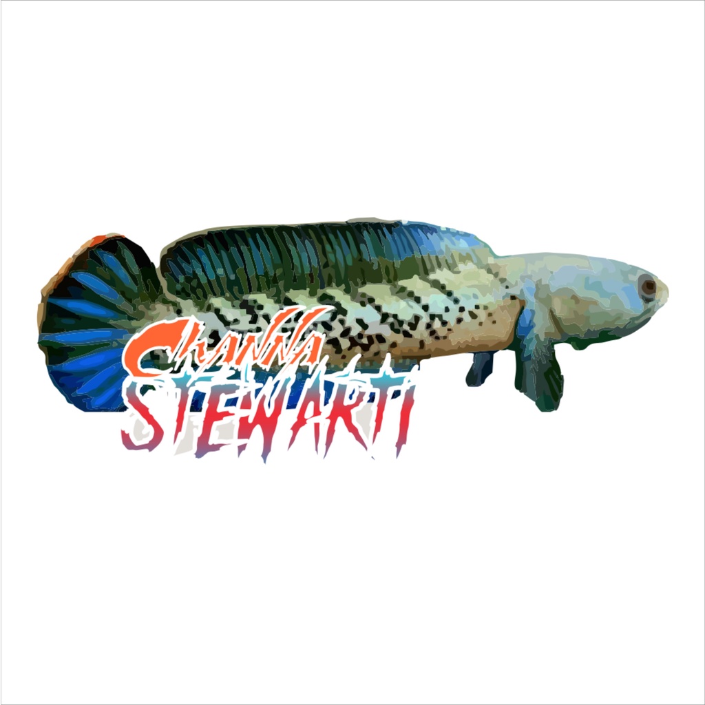 Jual STICKER CHANNA/STICKER IKAN/CHANNA/CUPANG/UKURAN9X5CM/HARGA ...