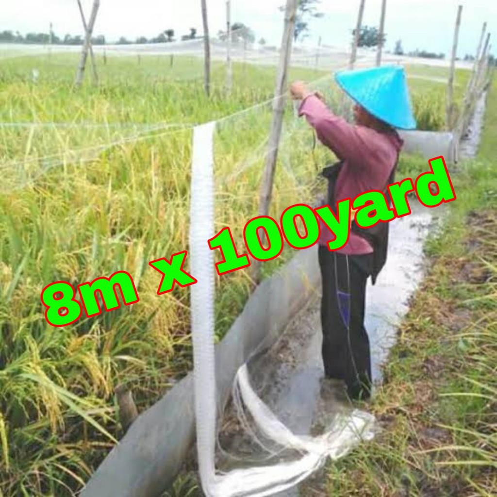 Jual Jaring burung, jaring pelindung padi, jaring senar 0,20 x (2 2,5 3 ...