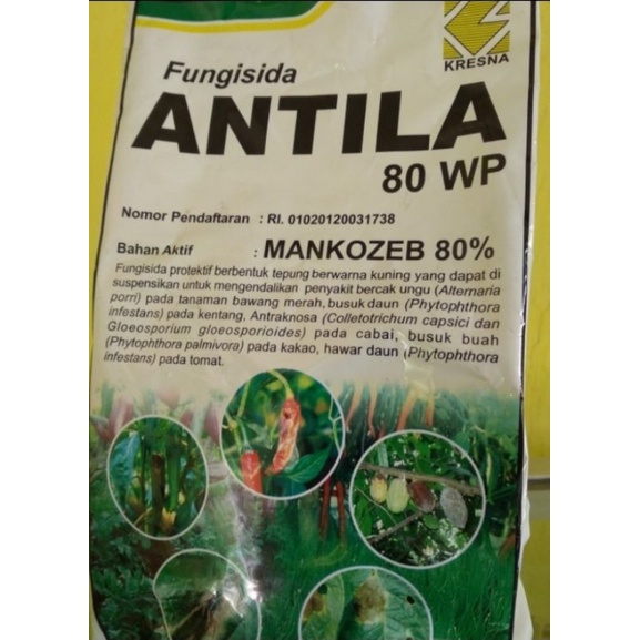 Jual ANTILA 80WP 1kg | Shopee Indonesia