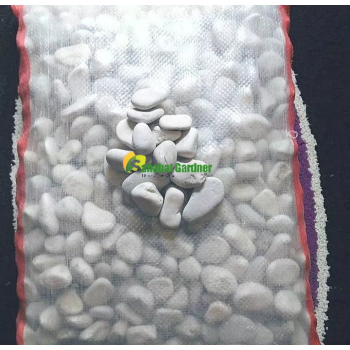 Jual batu koral putih kecil 5 kg - batu hiasan taman dan akuarium ...