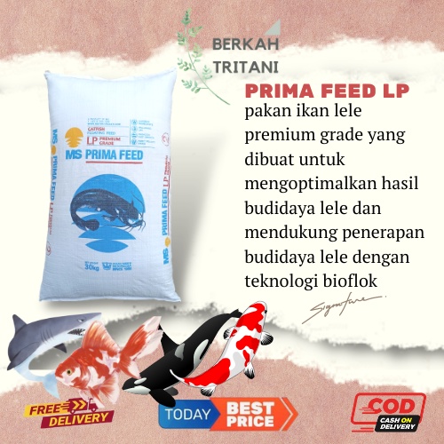 Jual Pelet Ikan Pakan Ikan PRIMA FEED LP (1 kg) nila, mas, patin ...