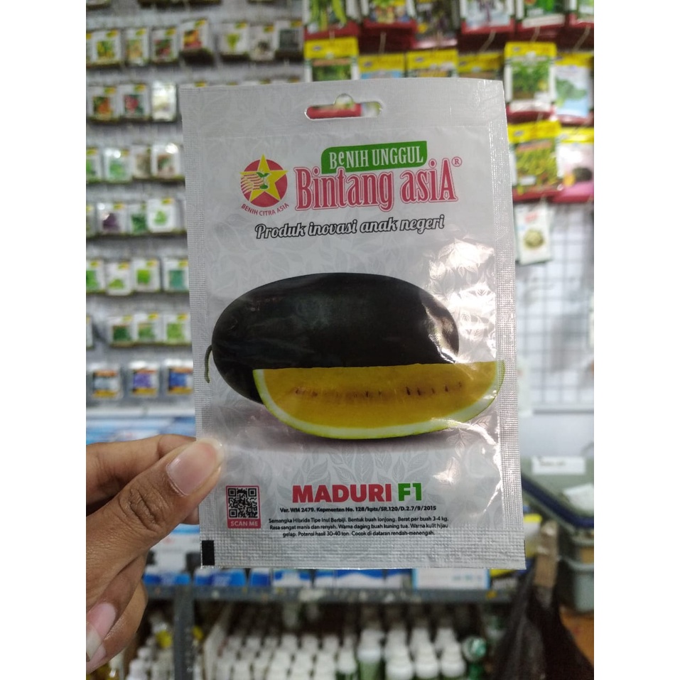 Jual Benih Bibit Semangka Inul Kuning Maduri F1 Hibrida Tanaman Buah