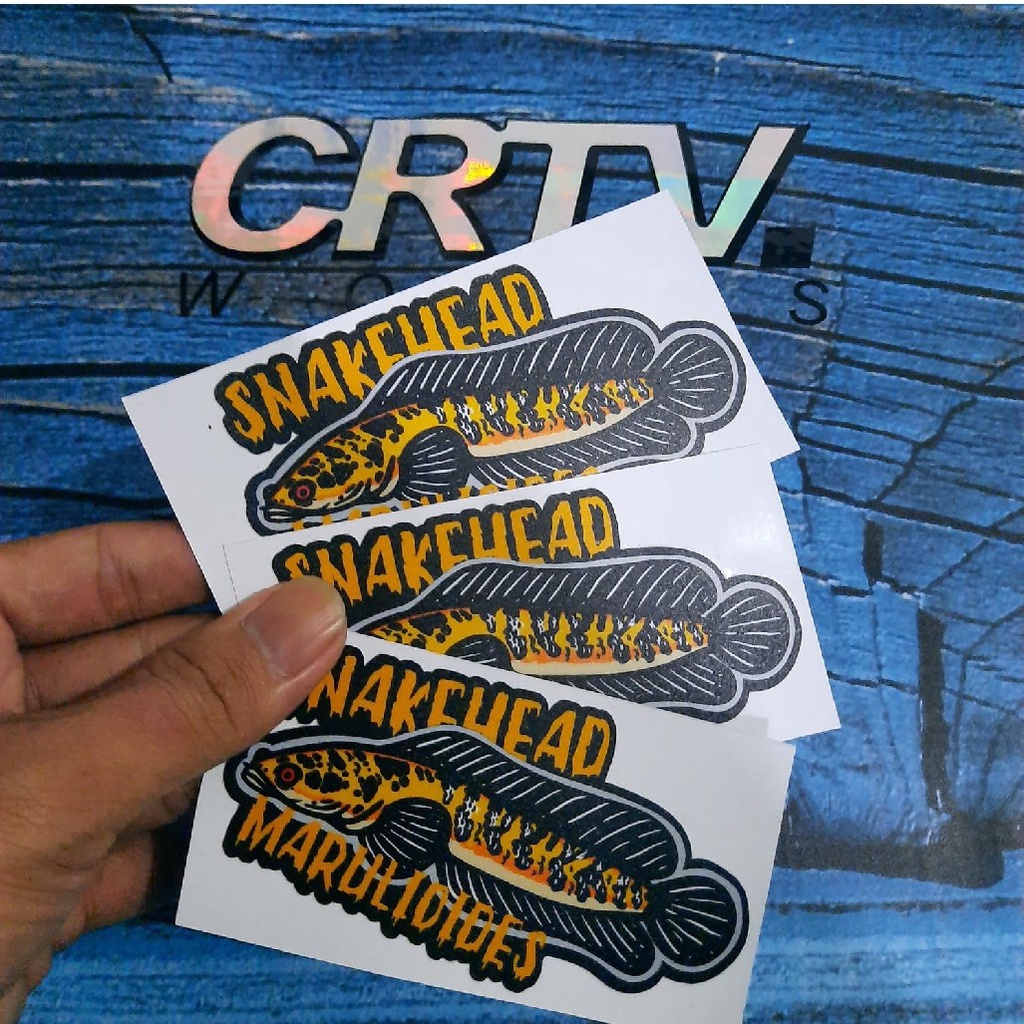 Jual Stiker Ikan Channa Snakehead Marulioides Terlaris - Crtv | Shopee ...