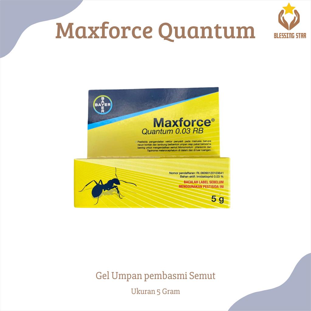 Jual Maxforce Quantum Gel 5gr Obat umpan racun basmi Semut | Shopee Indonesia