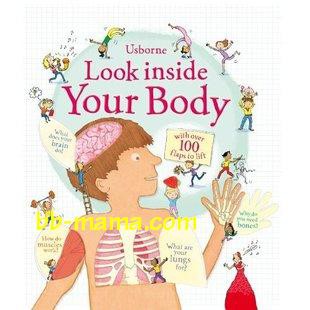 Jual Look Inside: Your Body (Usborne Look Inside) | Shopee Indonesia