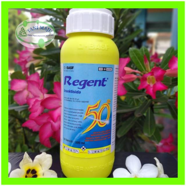 Jual REGENT 50 SC 500 ml INSEKTISIDA | Shopee Indonesia