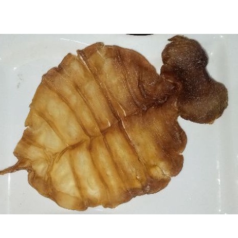 Jual PREMIUM FISHMAW/PERUT IKAN PREMIUM/GELEMBUNG IKAN KALIMANTAN/HIPIO ...