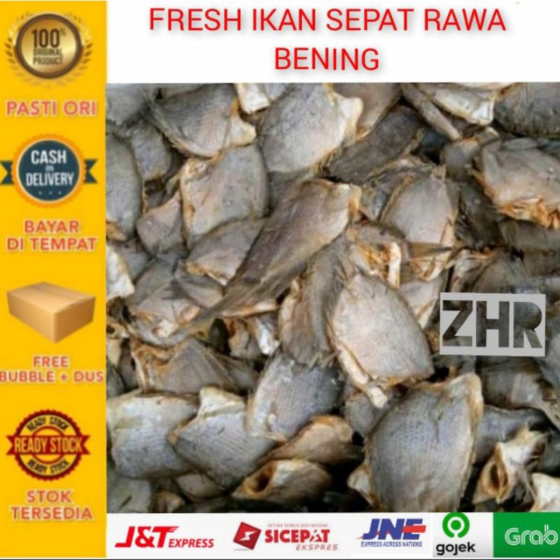 Jual Ikan asin Sepat rawa bening-1kg - ZHR | Shopee Indonesia