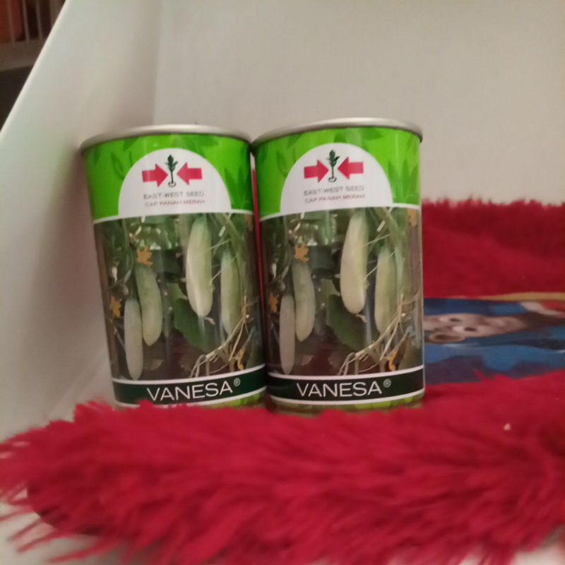 Jual Benih Timun Vanesa Kaleng Timun Putih 50gr | Shopee Indonesia