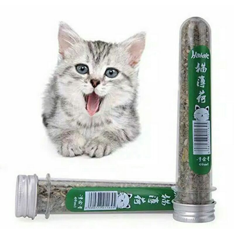 Jual NEW !! Tabung Daun Catnip Mint Herbs / Catnip Kering Nepeta ...