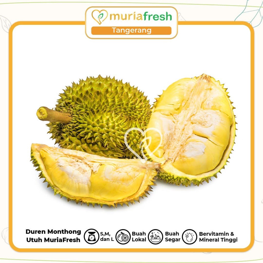 Jual Duren Montong Kenji Buahan | Durian Monthong | Shopee Indonesia