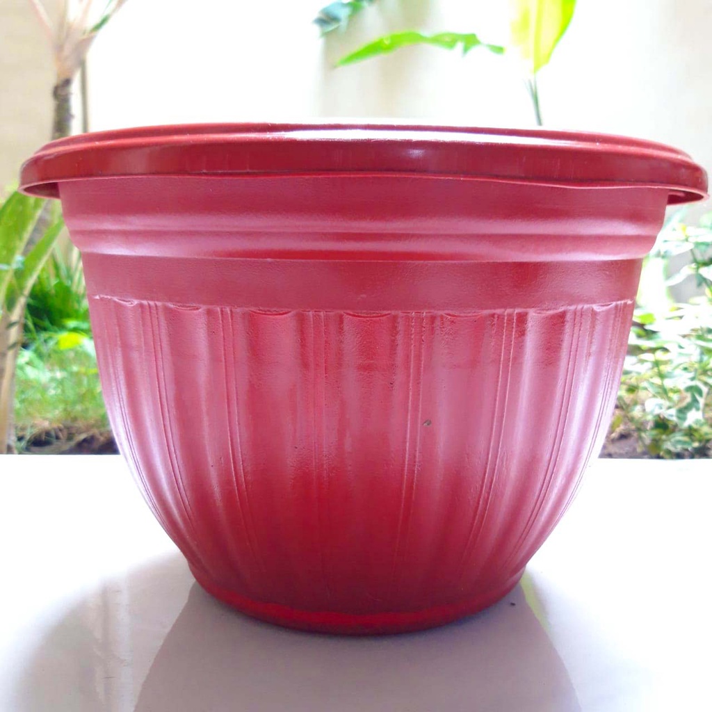 Jual Pot Matahari 30 Panda Star / Pot Bunga / Pot Tawon 30 / Pot Bunga ...