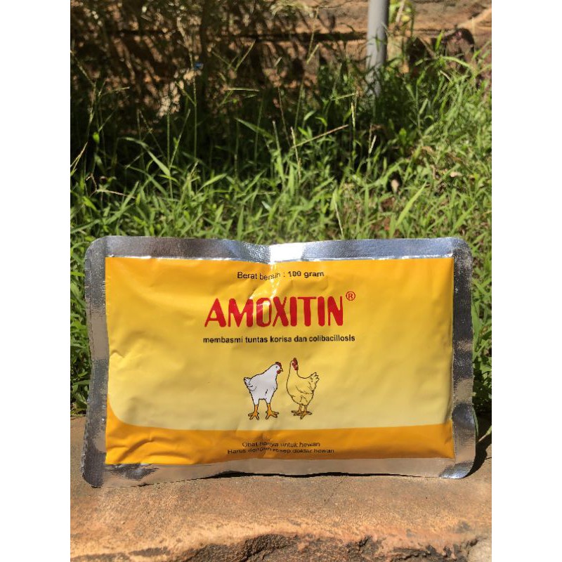 Jual Amoxitin 100gr (membasmi tuntas korisa dan coli) | Shopee Indonesia