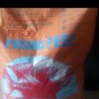 Jual Pelet PF 500 kemasan repack 1 KG | Shopee Indonesia