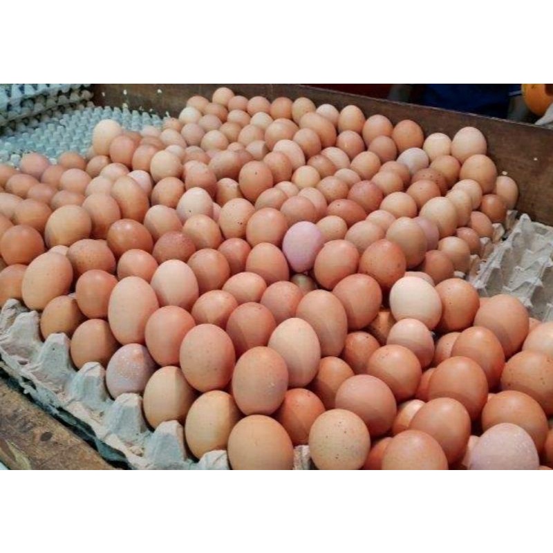 Jual Telur Ayam Ras Khusus Bandung | Shopee Indonesia
