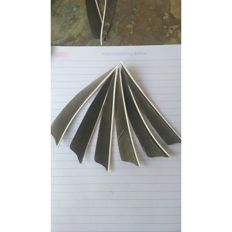 Jual vanes | Shopee Indonesia