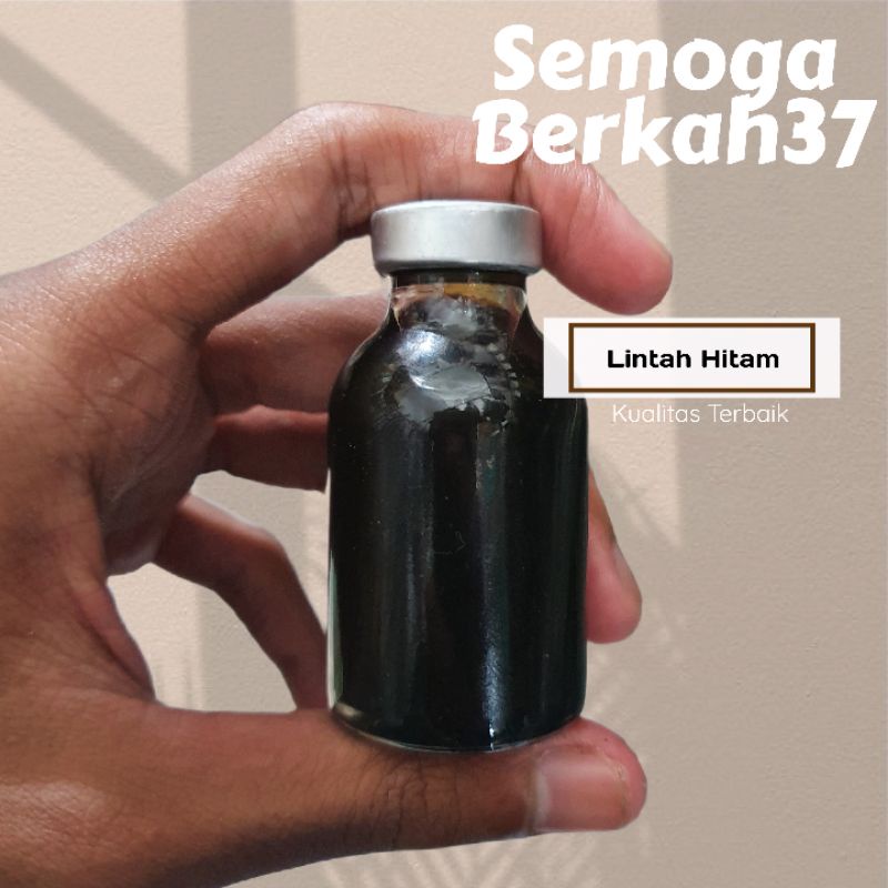 Jual Minyak Lintah Hitam Super Asli Kalimantan | Shopee Indonesia