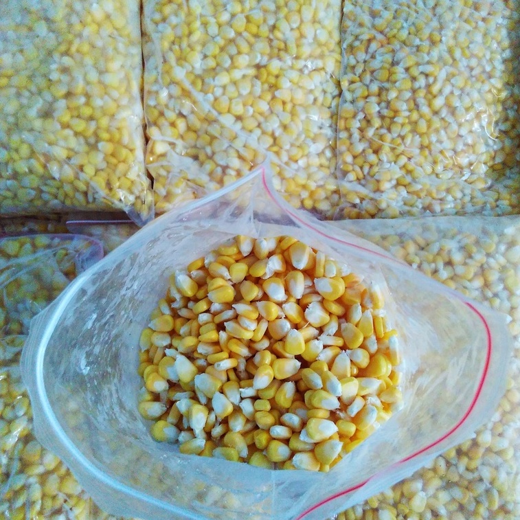 Jual Jagung Segar Manis Frozen Segar 1Kg | Shopee Indonesia