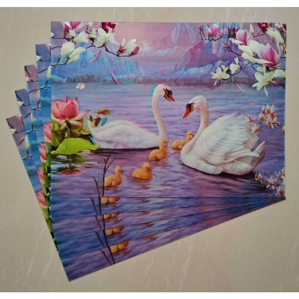 Jual Poster Gambar 3D / 3 Dimensi Bebek dan Angsa 30x40cm | Shopee ...