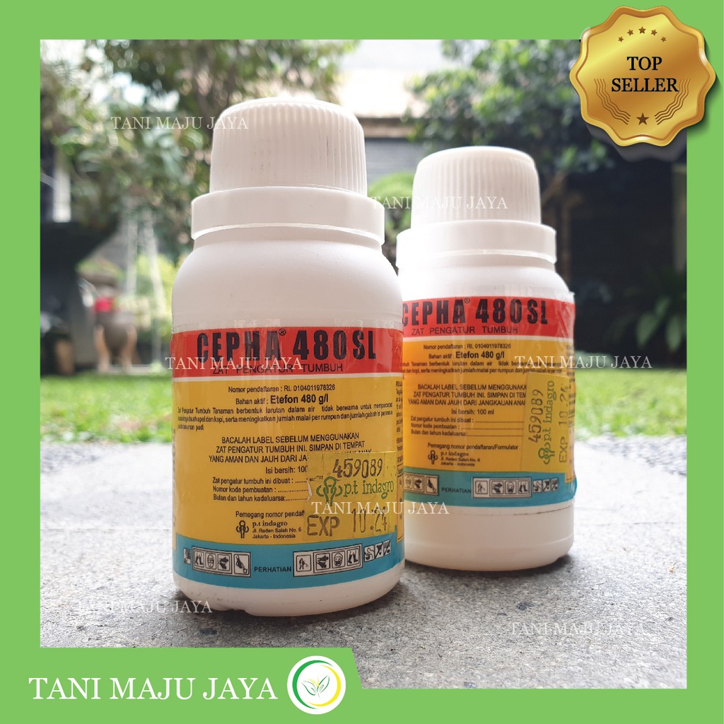 Jual Pupuk Cepha 480SL 100 ml Obat Pemasak Pematang Buah Zat Pengatur ...