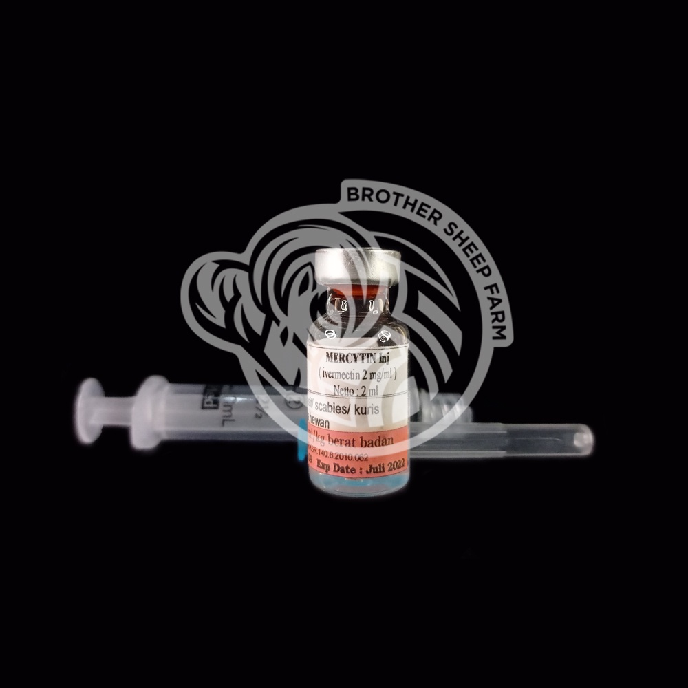 Jual Mercytin Inj 2ml Obat Parasit Scabies Kuris Cacing LSD Lato Lato ...