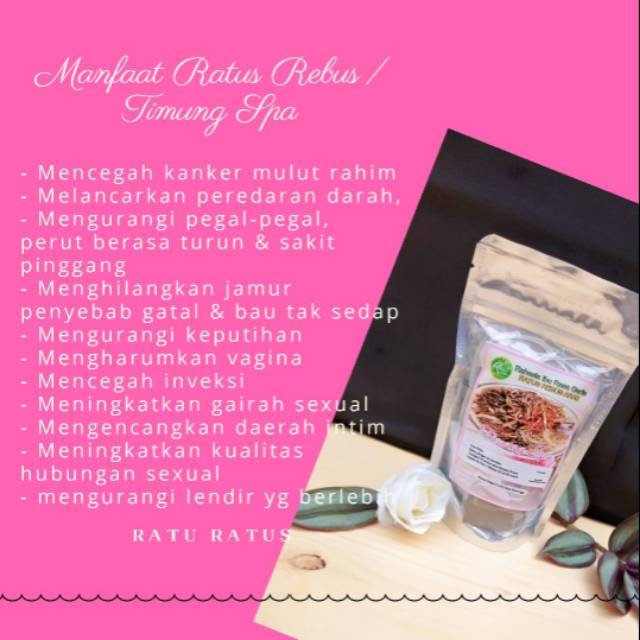 Jual Ratus rebus by ratu ratus | Shopee Indonesia