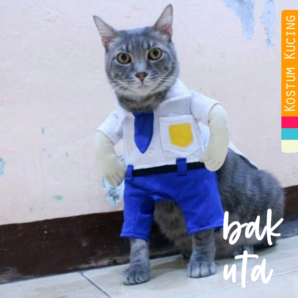 Jual Kostum anak SMP untuk kucing dan anjing / baju kucing size S M L ...