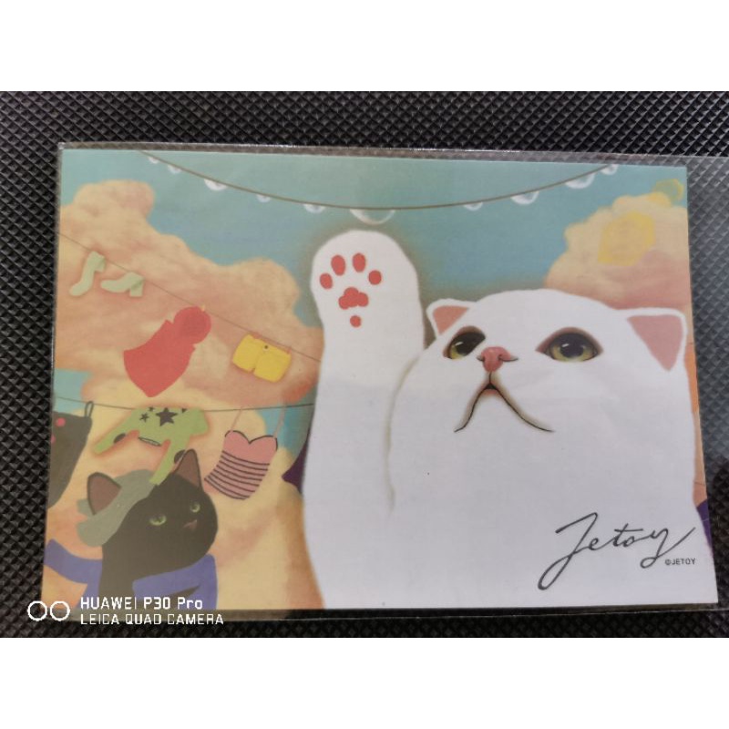 Jual kartu pos kucing jetoy/jetoy cat postcard | Shopee Indonesia