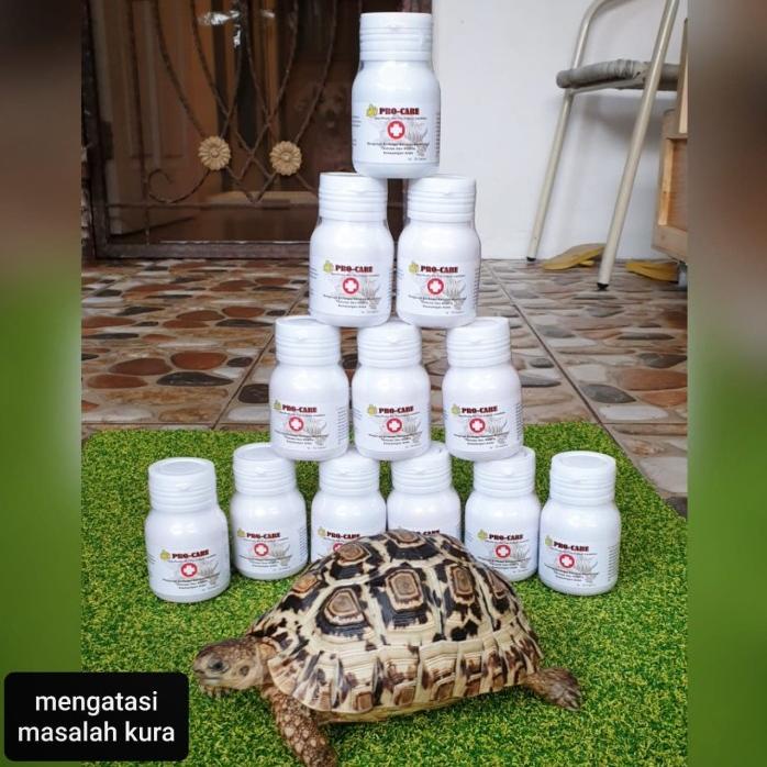 Jual Procare Capsule Terbaik Utk Kura2 Darat Kesayangan Anda | Shopee ...