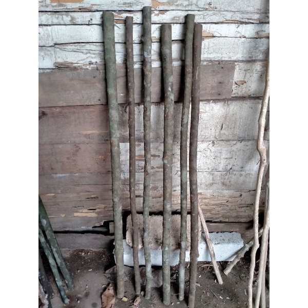 Jual tongkat kayu tas betina ,kayu hujan panas kalimantan 50cm | Shopee ...
