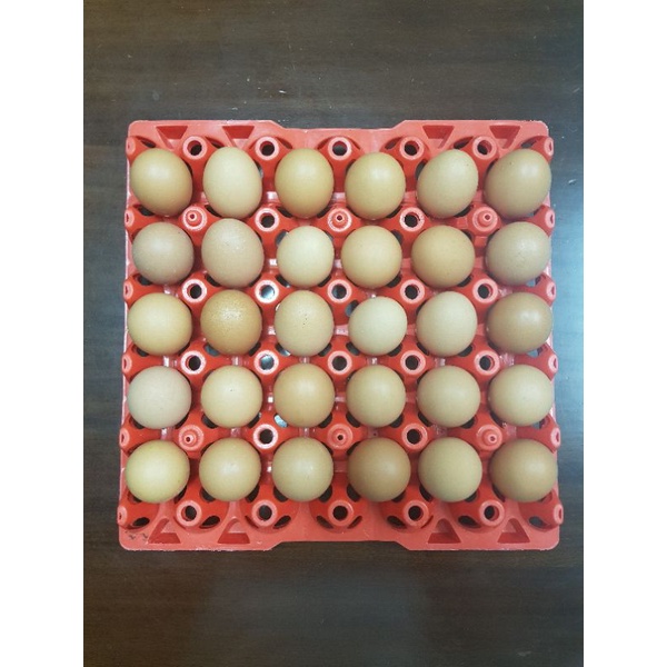 Jual TELUR AYAM NEGRI KECIL ISI 17-18 BUTIR PER-KG | Shopee Indonesia