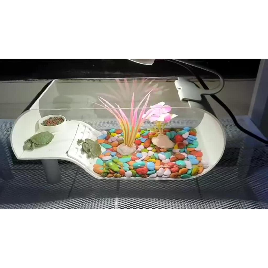 Jual 1 Set Aquarium Kura - Kura PVC Lengkap Hiasan Dan Lampu LED 3 Watt ...