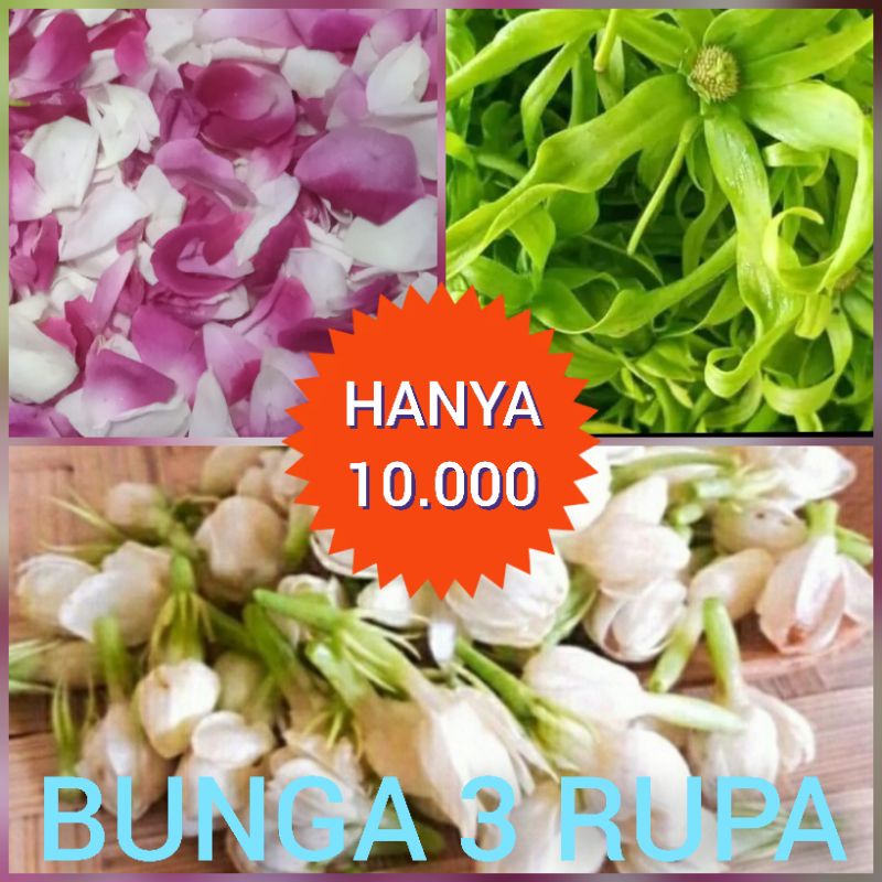 Jual bunga 3 rupa kembang tiga macam melati mwar kenanga paket murah ...