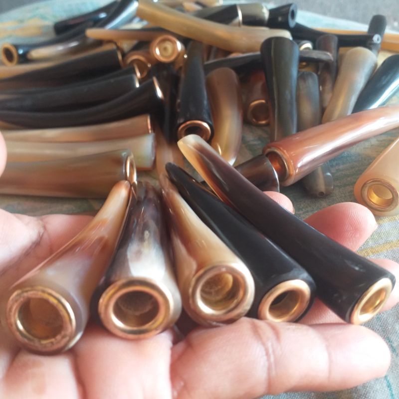 Jual once tanduk kerbau bule | Shopee Indonesia