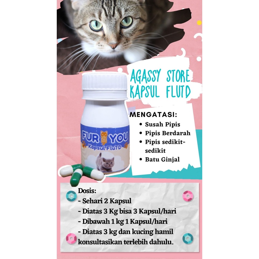 Jual FurYou KAPSUL Racikan obat FLUTD FUS kucing susah pipis & kucing ...