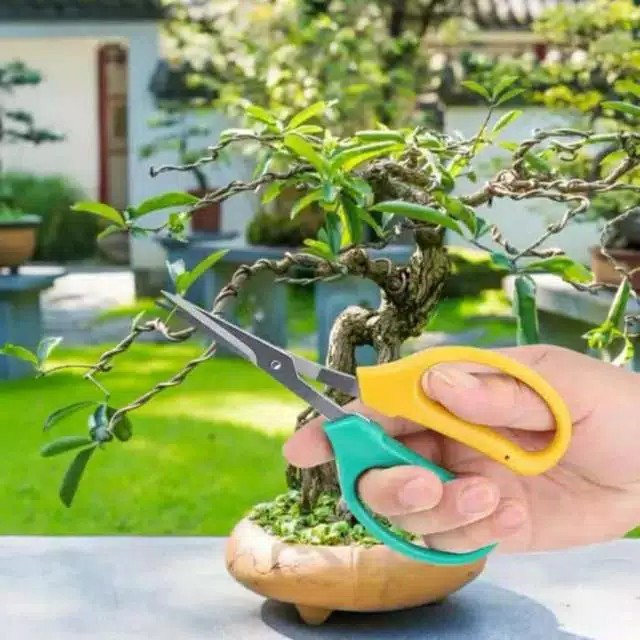Jual GUNTING TAMAN RANTING DAUN PRUNING TANAMAN HIAS BONSAI IMPORT ...