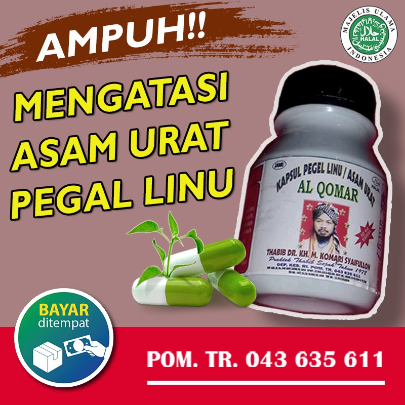 Jual Obat Asam Urat Pegal Linu Rematik Kolesterol Nyeri Sendi Otot ...