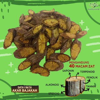 Jual Akar Kuning Asli Kalimantan / Akar Bajakah Kuning / Kayu Bajakah ...