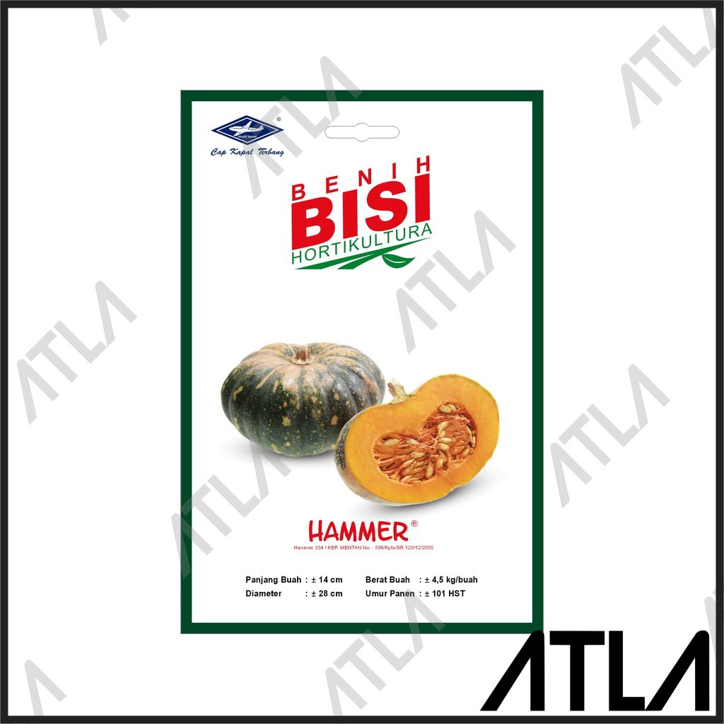 Jual Benih Labu Hammer Bibit Buah Sayur Pumpkin Waluh Biji Tanaman Bisi ...