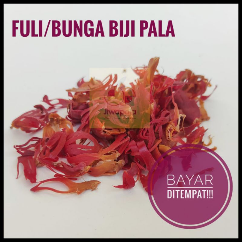 Jual Fuli Pala(bunga biji pala) | Shopee Indonesia
