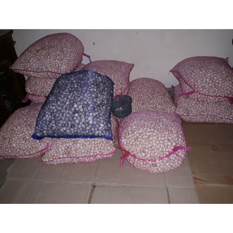 Jual Bawang tunggal putih grosiran 10 & 20kg | Shopee Indonesia