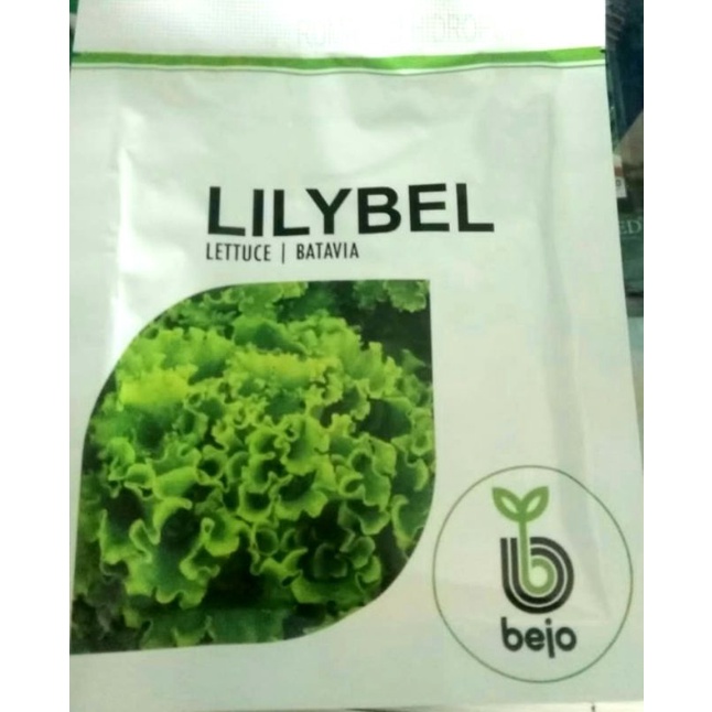 Jual Benih Selada Lilybel Bejo Seed kemasan 1000 pil | Shopee Indonesia